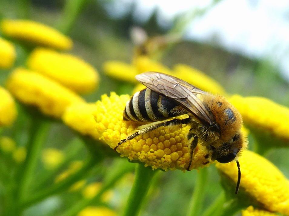 Nieuwsbrief week 38-2024 | Lijst Samenwerking